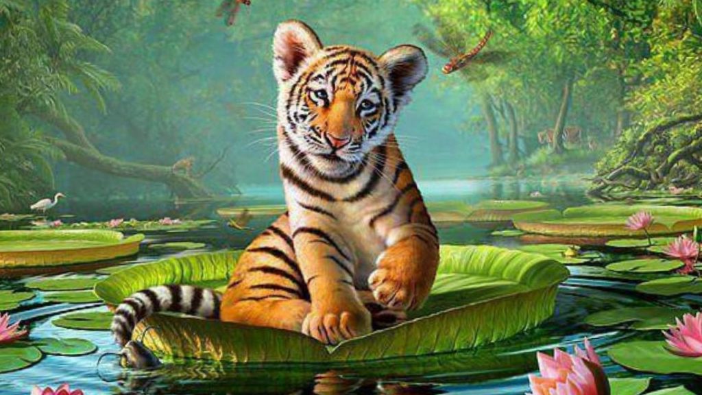 Animal Wallpaper Top : Marathi Unlimited